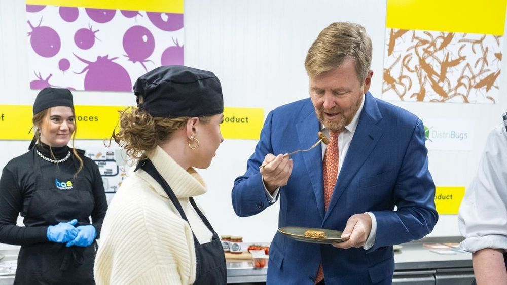 The King eats a worm burger | Forum for Democracy International